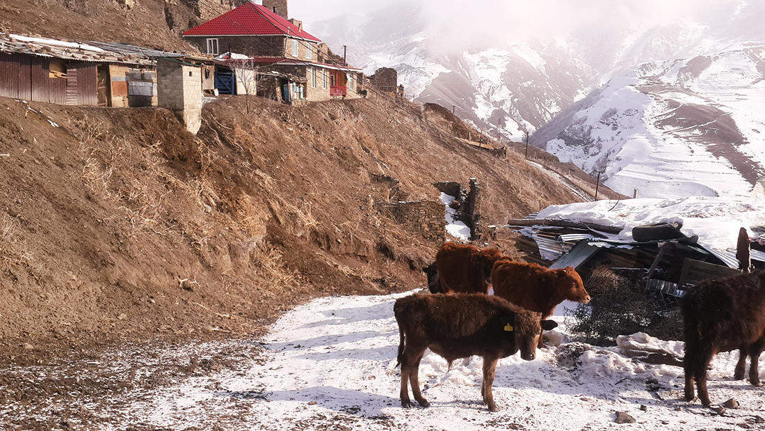 The virtual reality of Chechen recordkeeping: A report from Russia's ...