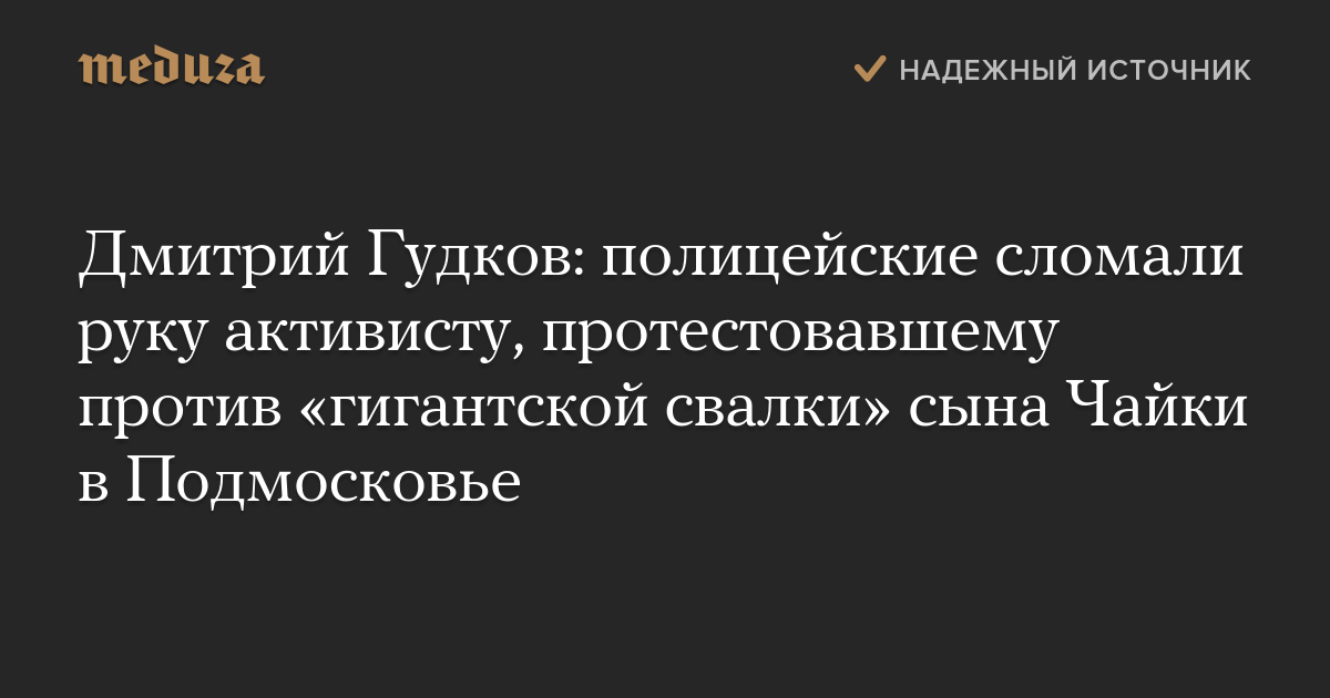 Дмитрий Гудков: полицейские сломали руку активисту, протестовавшему ...