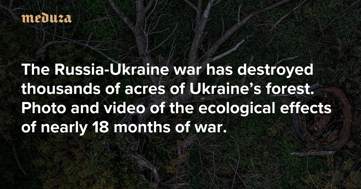 ‘When we got here, it was a beautiful forest’ The Russia-Ukraine war ...