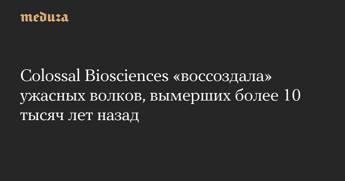 Colossal Biosciences «воссоздала» ужасных волков, вымерших более 10 ...