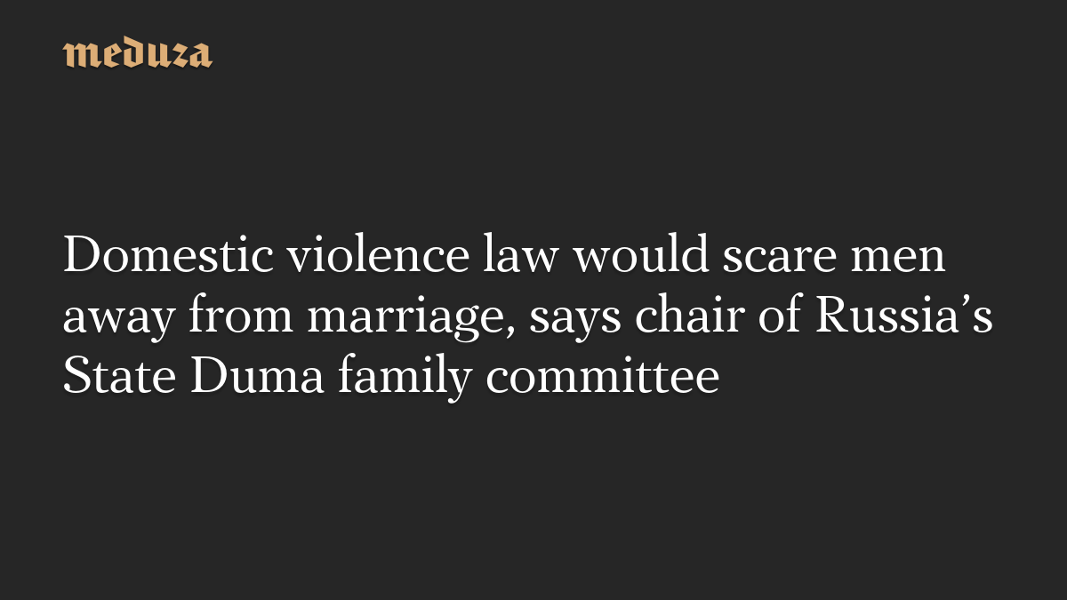 Domestic violence law would scare men away from marriage, says chair of ...